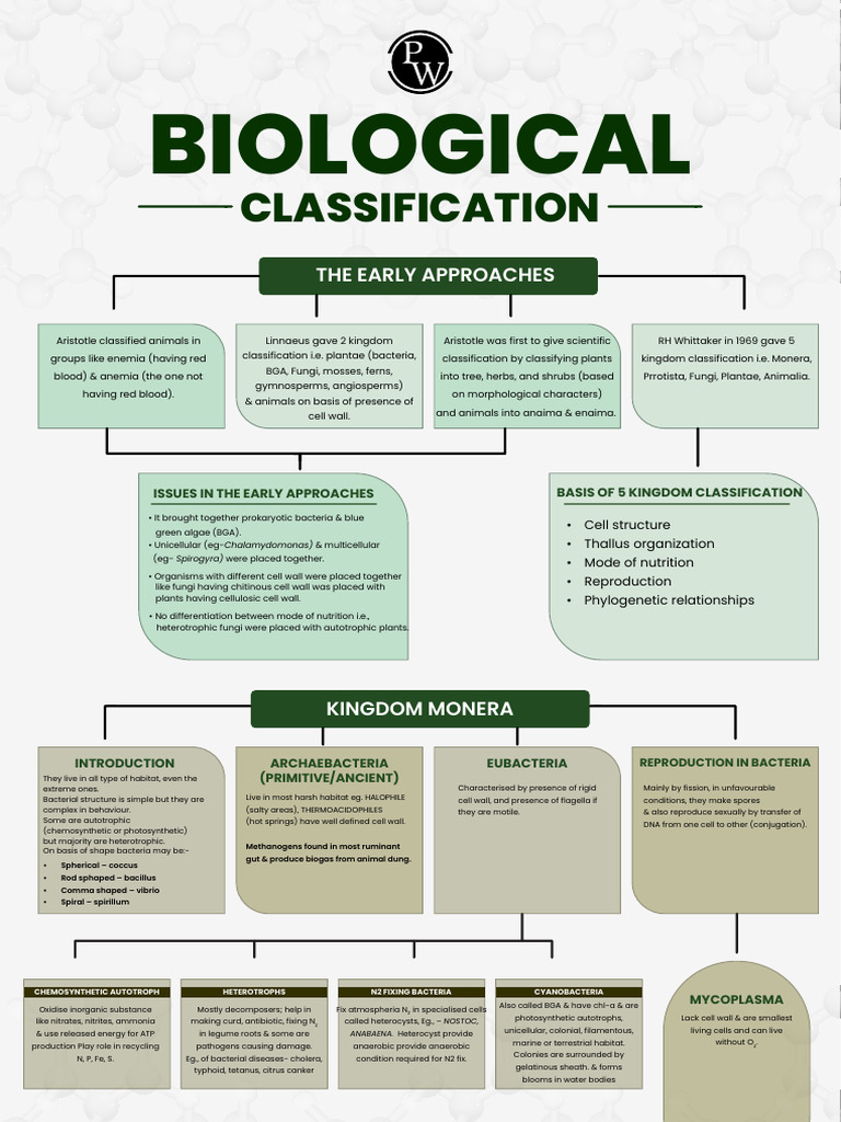 Biological Classification 3 | PDF | Bacteria | Cell (Biology)