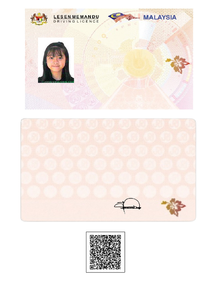 NO P License | PDF | Vehicle Technology | Engineering