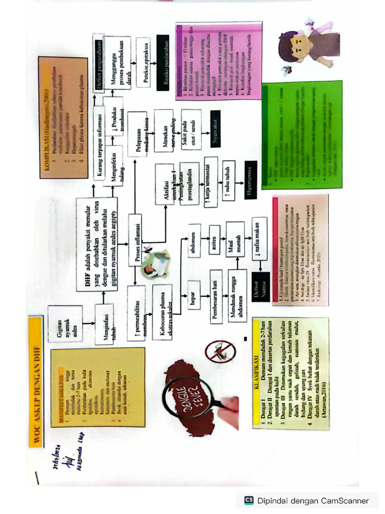 Woc DHF, Ispa Rpa | PDF