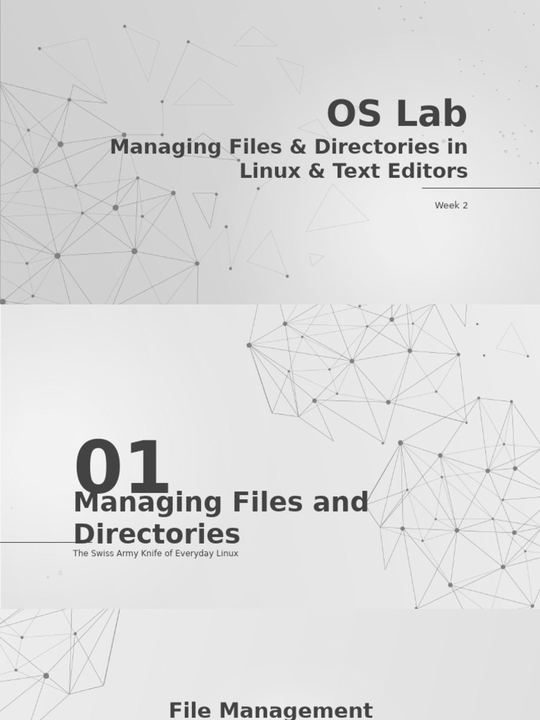 OS Lab - Week 2 | PDF | Computer File | Filename