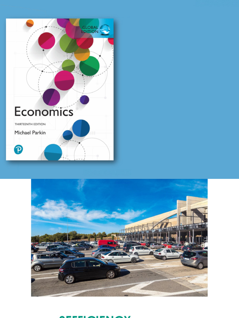 Efficiency | PDF | Economic Surplus | Supply (Economics)