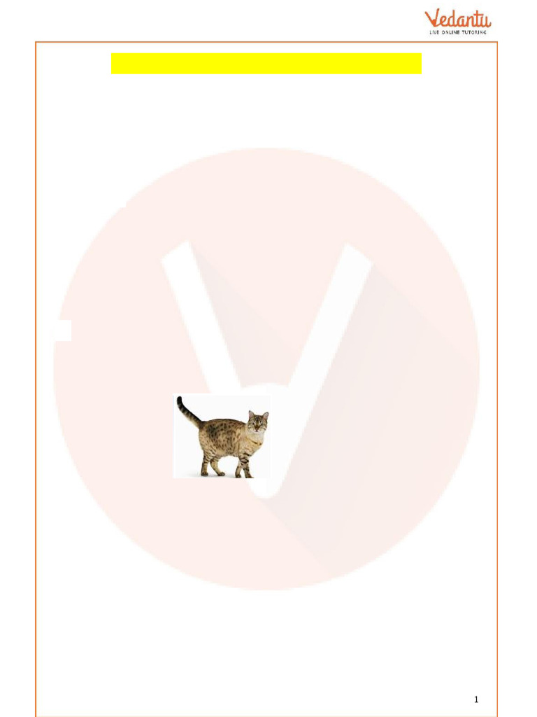 SOF IGKO Class 1 Sample Paper 2 With Solutions For FREE | PDF