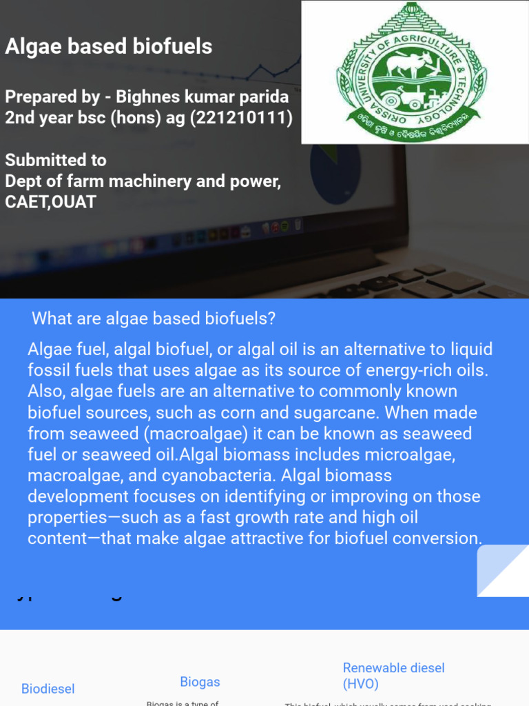FMP (Ag) Assignment (221210111) | PDF | Algae Fuel | Biofuel