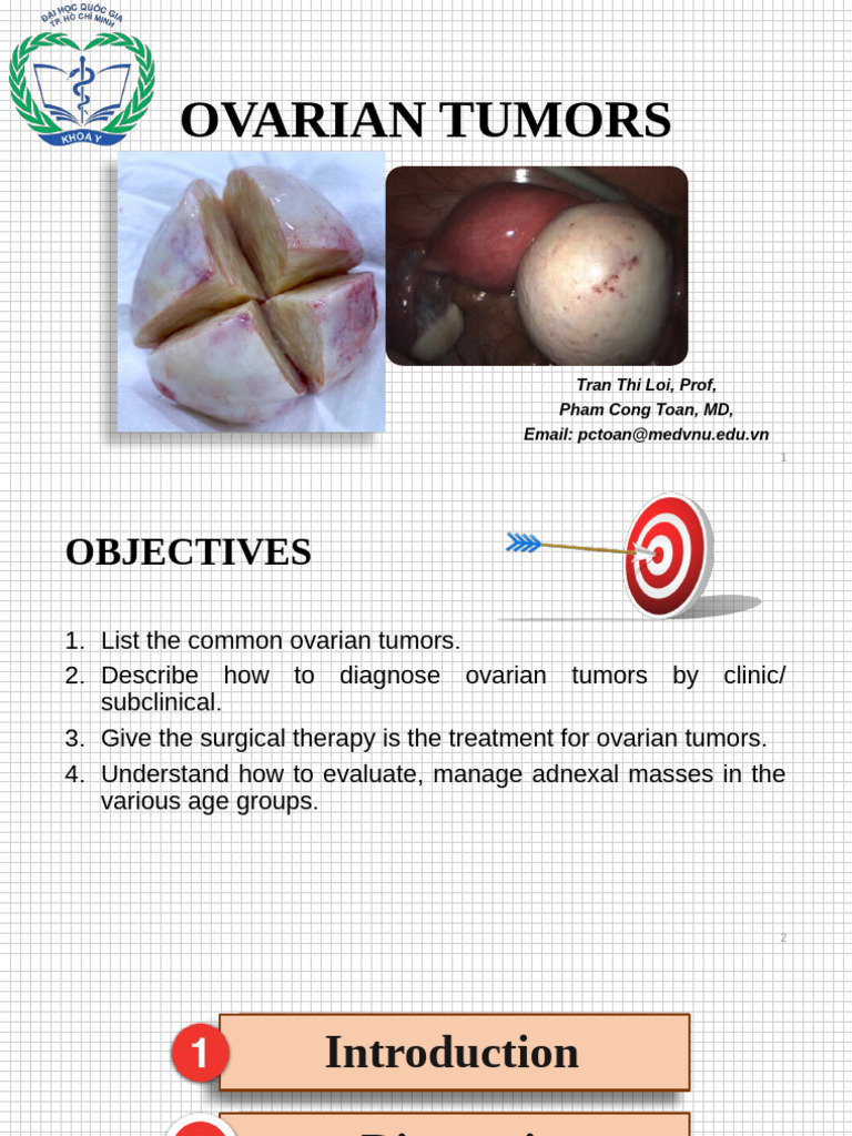 Y3 - High Quality - Ovarian Tumors | PDF | Ovarian Cancer | Ovary