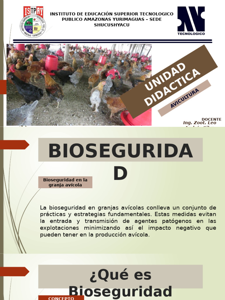Bioseguridad | PDF | Granero | Avicultura