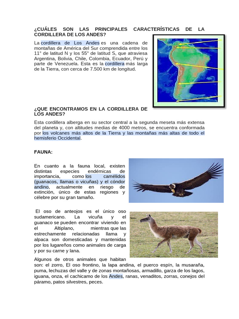 Cordillera de Los Andes Jesus | PDF | Andes