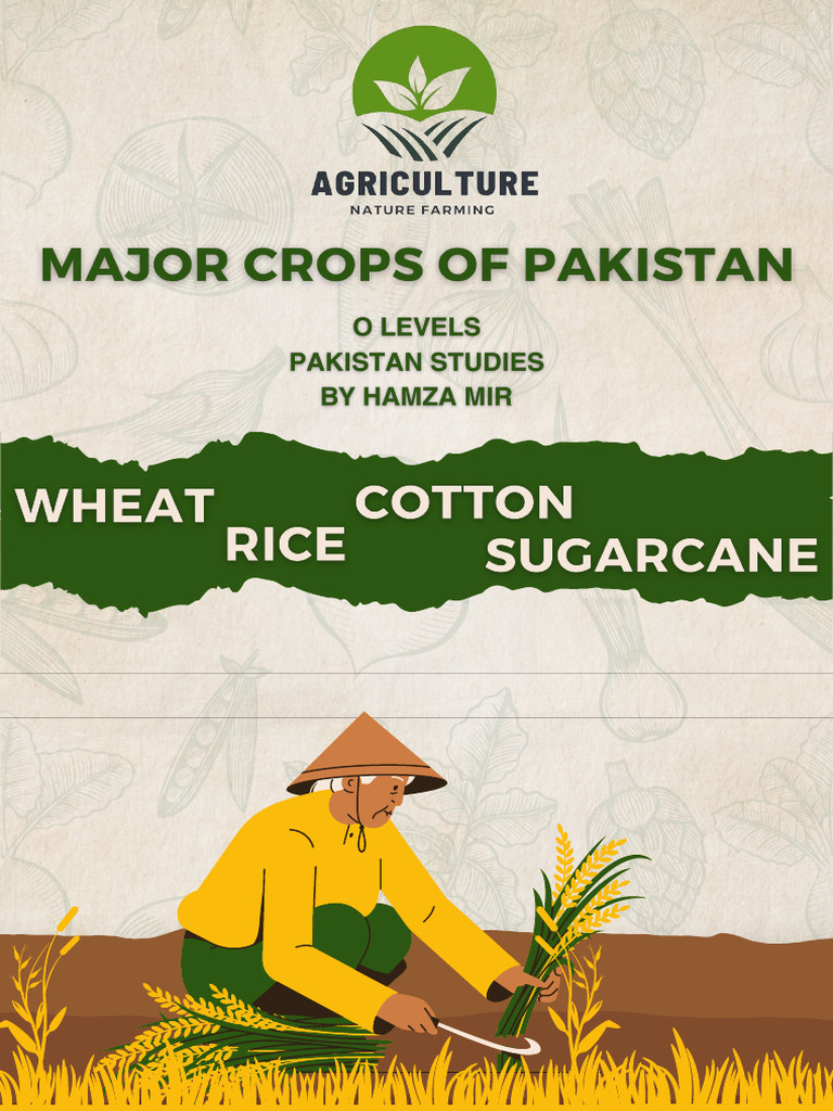 Pakistan National Crop Varieties Guide | PDF
