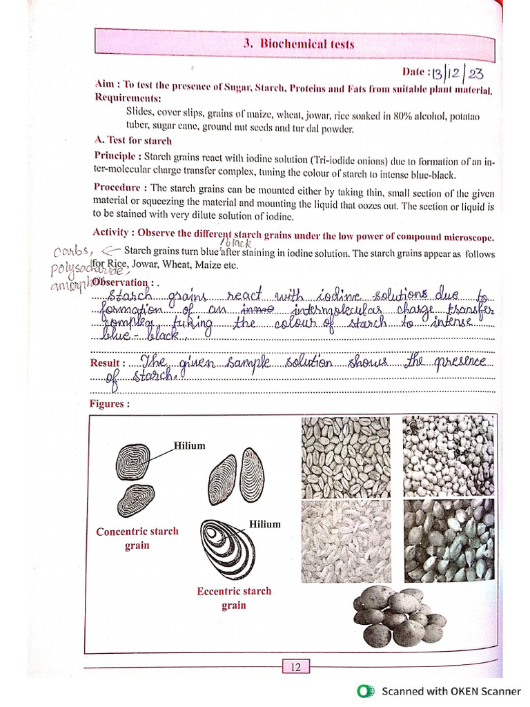 biochemical tests practical class 11(biology) | PDF