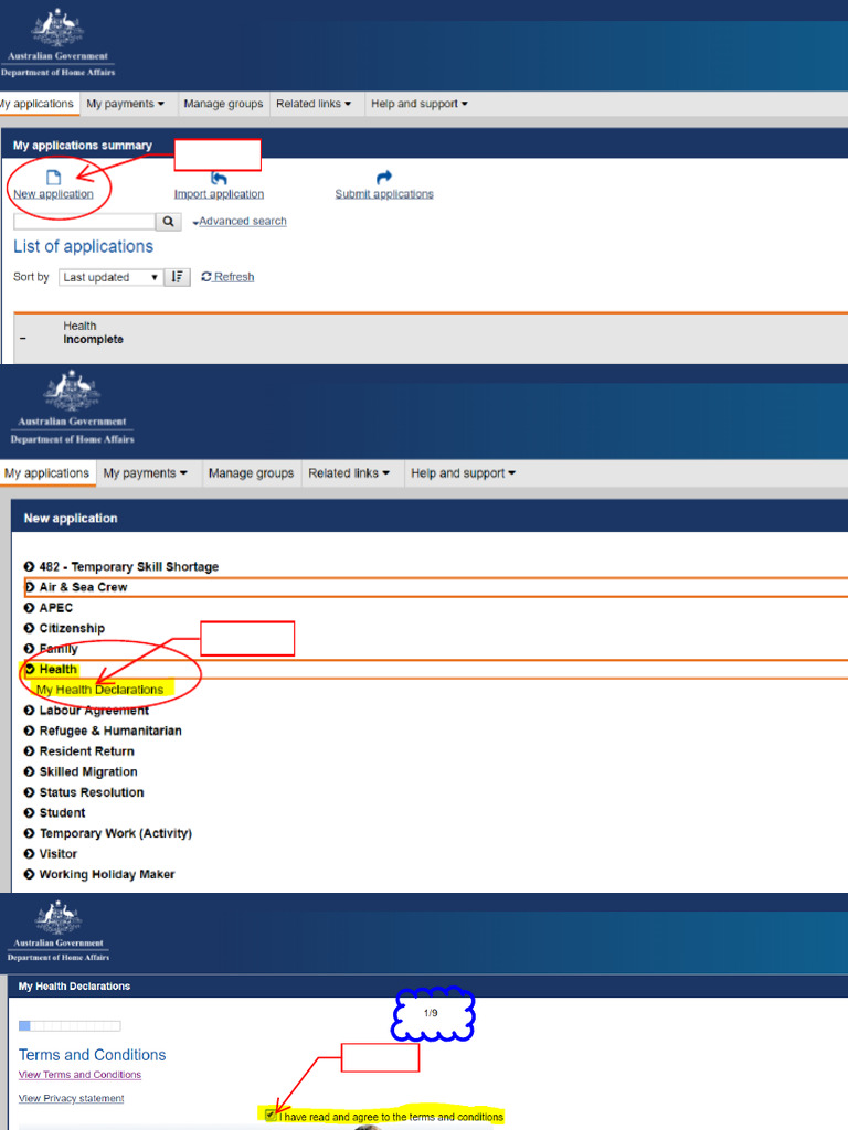 Visa 81435 - Hap ID Process 2019 | PDF | Mental Disorder | Hepatitis
