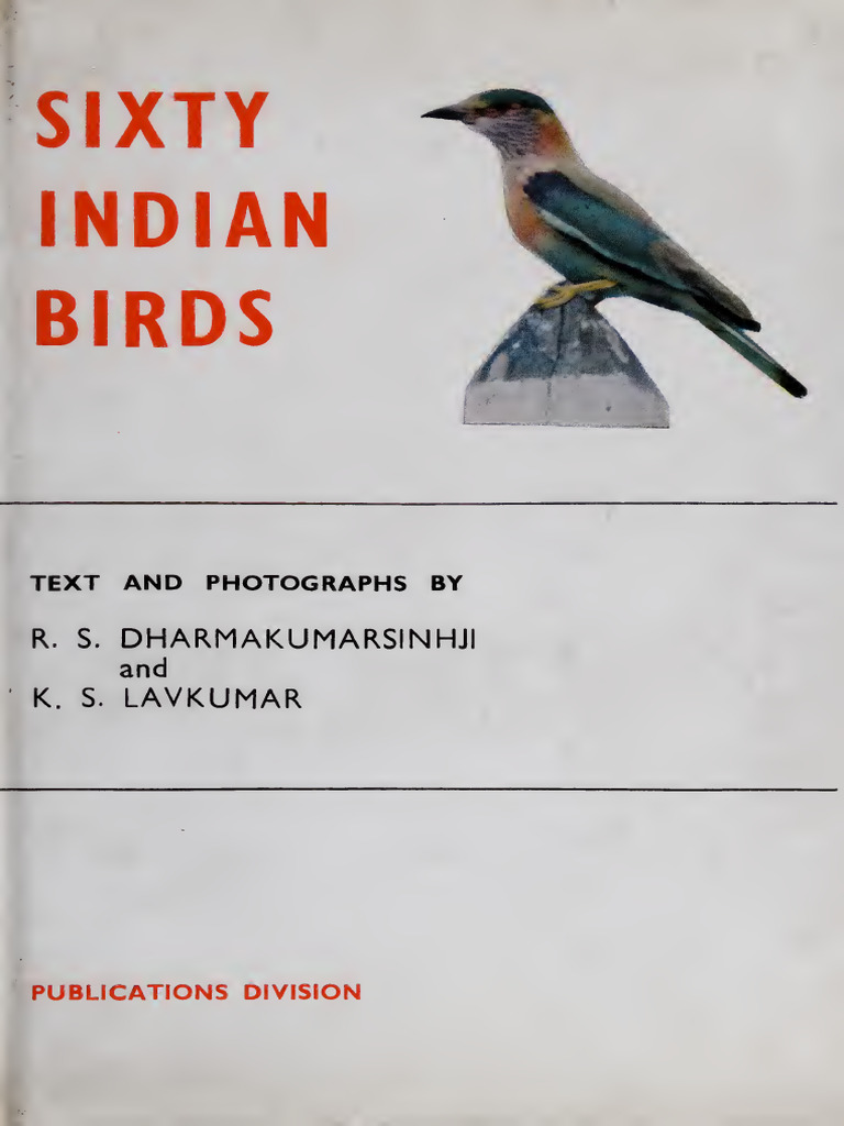 Sixty Indian Birds | PDF | Birds | Chicken
