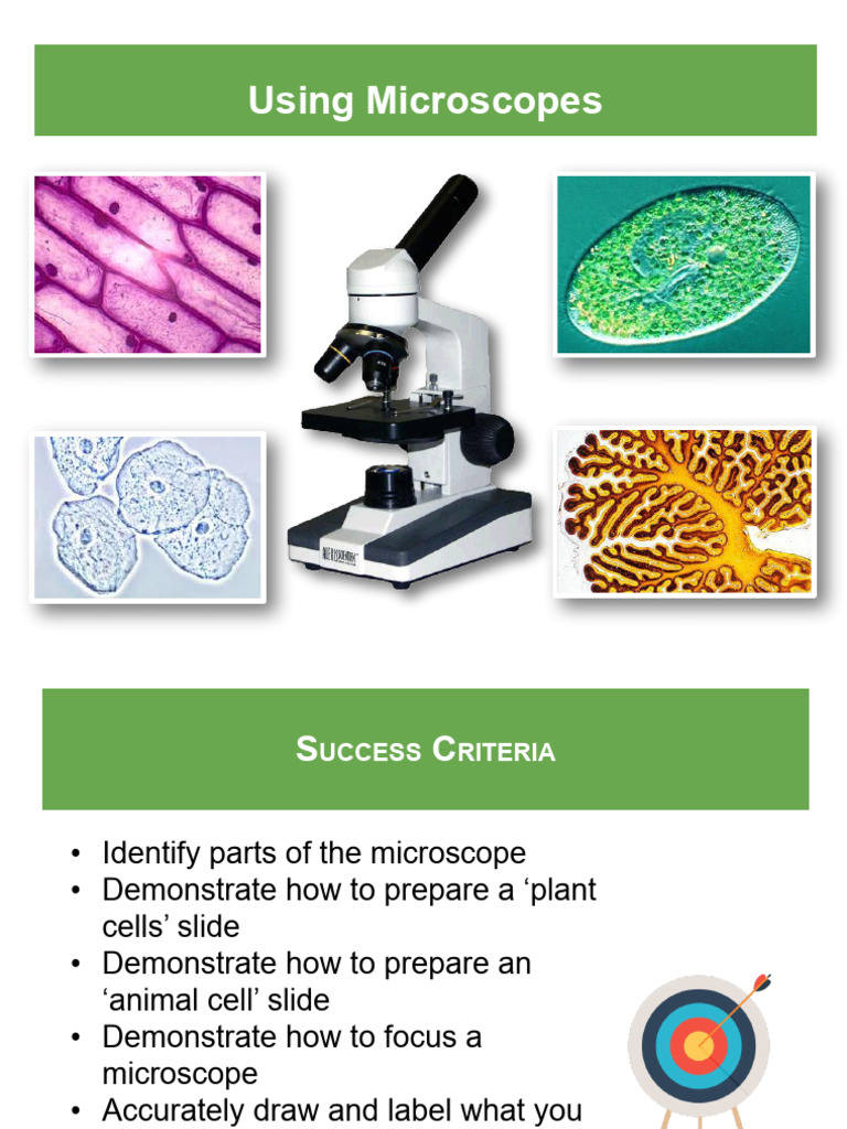 Using Microscopes Lesson 4 Pdf Microscope Equipment