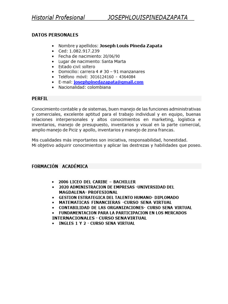 Hoja de Vida Joseph Pineda Full-1 | PDF | Contabilidad | Negocios ...