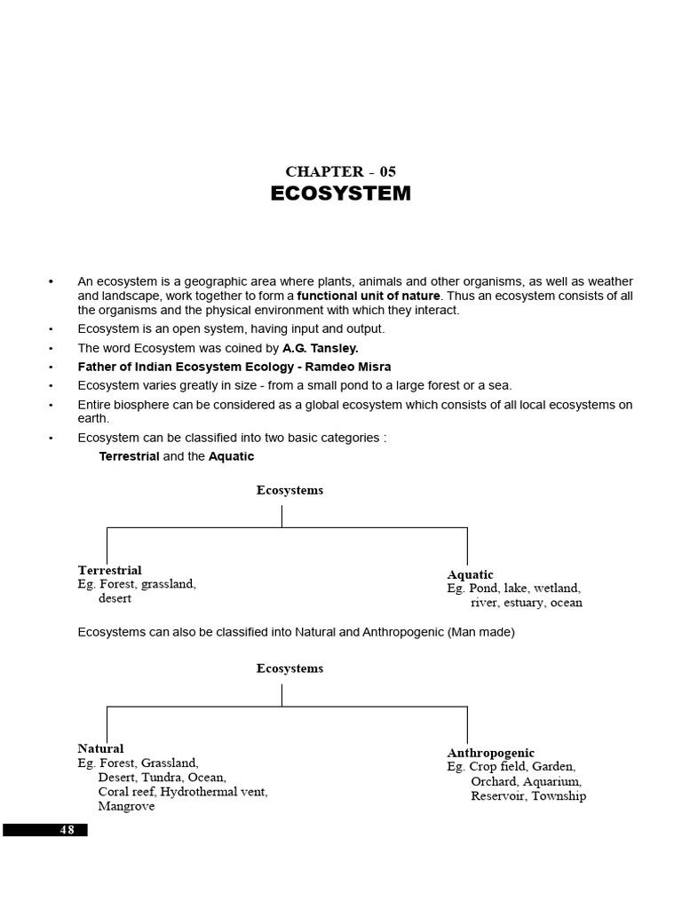 Ecosystem {Lecture Note} | PDF | Primary Production | Food Web Ecosystem {Lecture Note} | PDF | Primary Production | Food Web