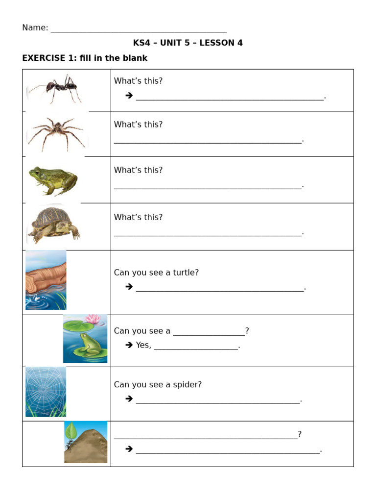 Everybody Up 1 - Unit 5 - Lesson 4 | PDF