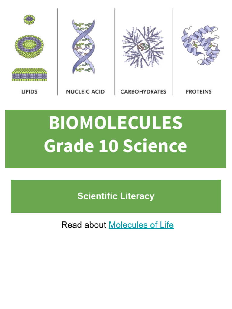 Biomolecules - Lesson 1 | PDF | Macromolecules | Carbohydrates