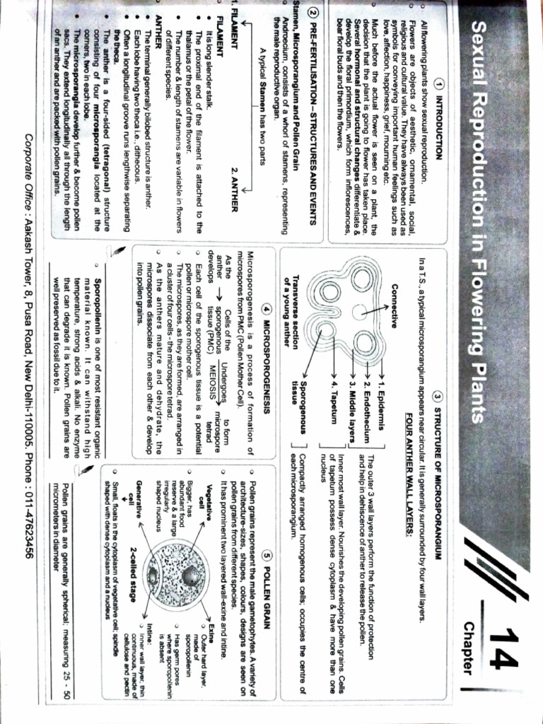 Botany Ncert | PDF | Flowers | Pollination
