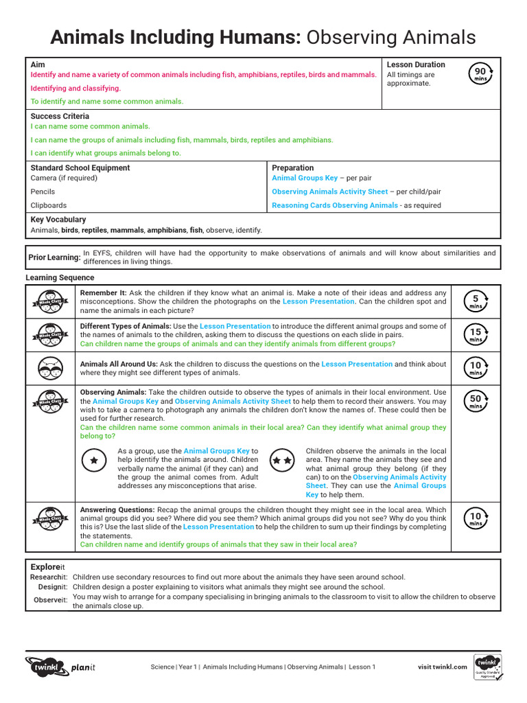 Lesson Plan Observing Animals | PDF | Reptile | Fish