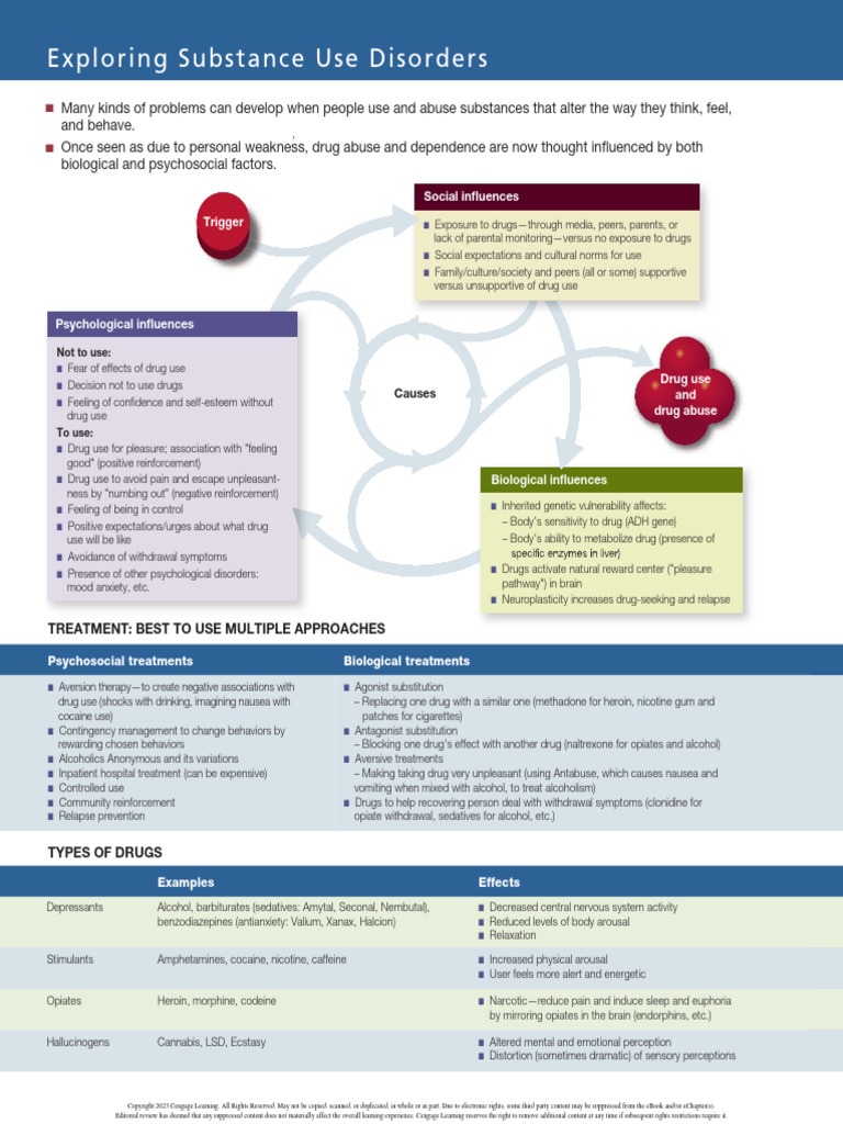 Substance Use Disorders | PDF | Substance Abuse | Drug Withdrawal