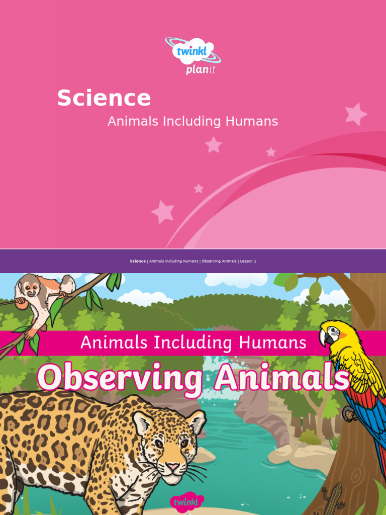 Lesson Presentation Observing Animals | PDF | Reptile | Fish