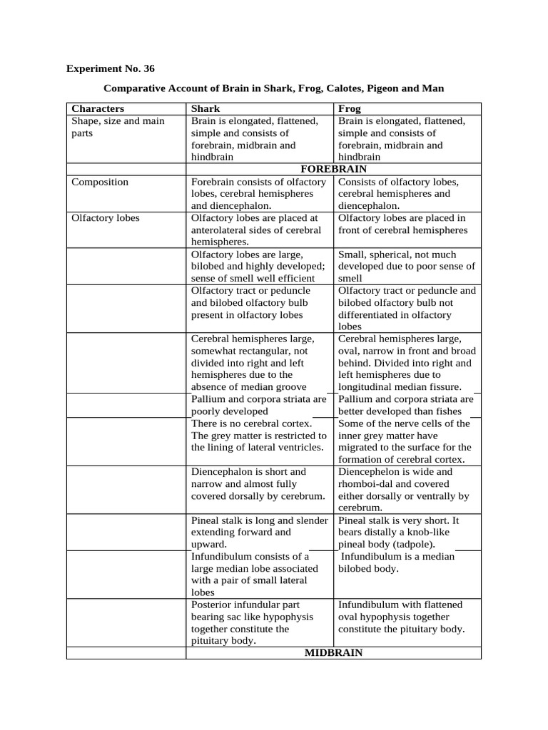 Comparative Anatomy - Brain | PDF | Cerebrum | Brain