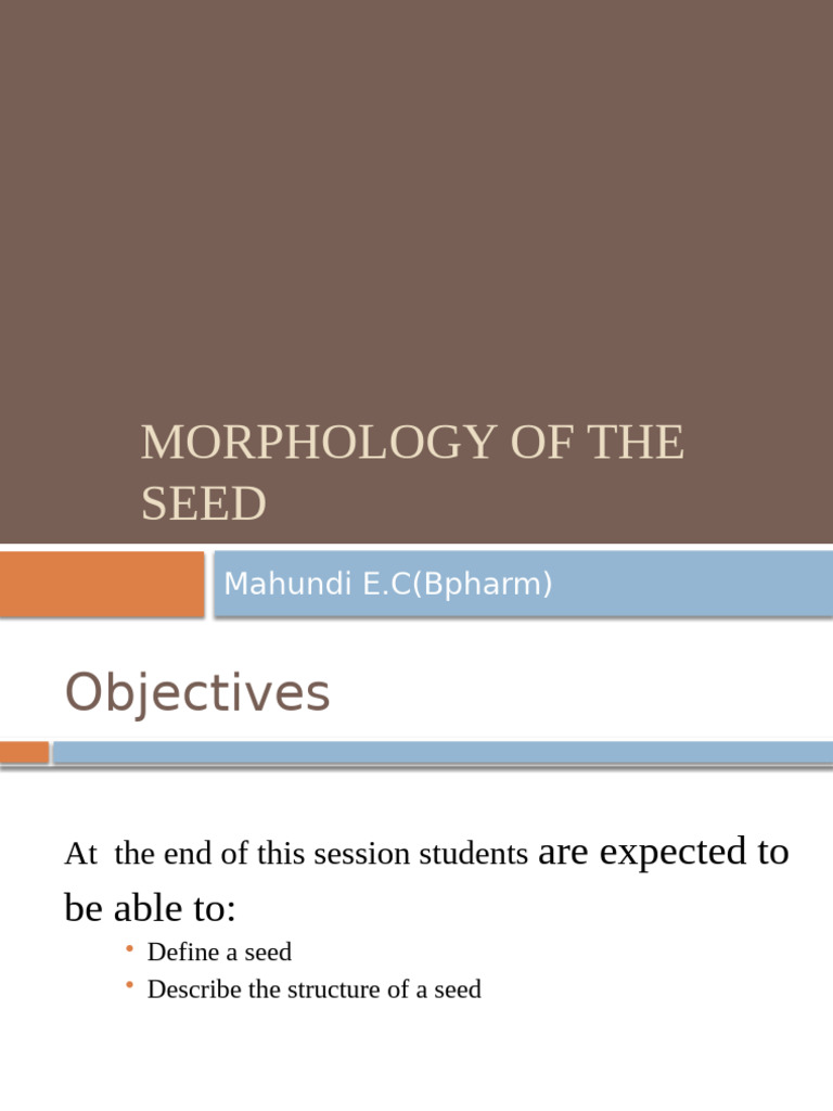 Morphology of The Seed | PDF | Seed | Plant Reproduction