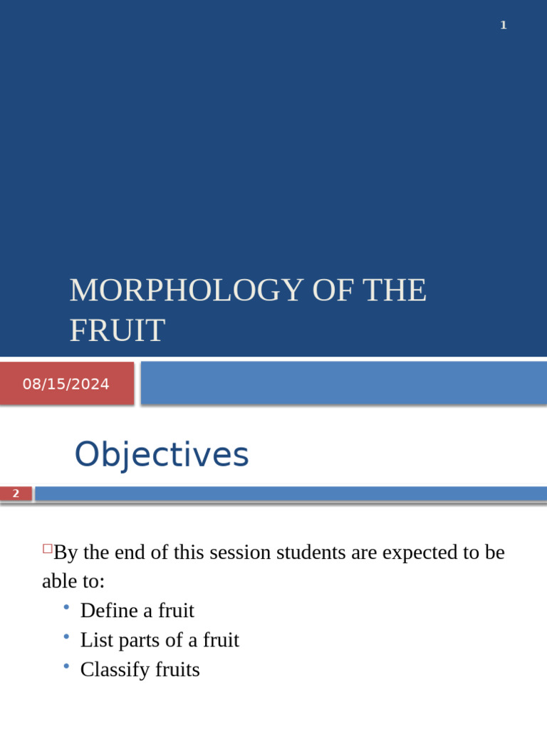 Fruit Morphology and Classification Guide | PDF | Fruit | Branches Of ...