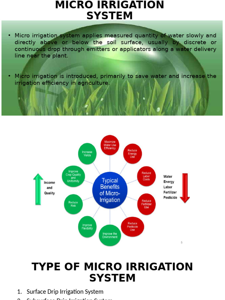 Micro Irrigation Systems Overview | PDF | Irrigation | Water And Politics
