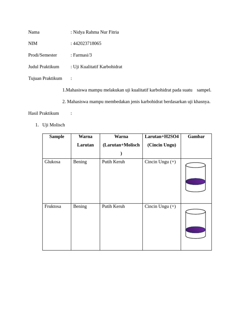 Laporan Praktikum Biokimia-Nidya Rahma Nur Fitria | PDF