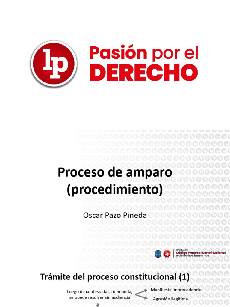 Sesión 13 Proceso de Amparo III Procedimiento Oscar Pazo | PDF | Demanda judicial | Mandato