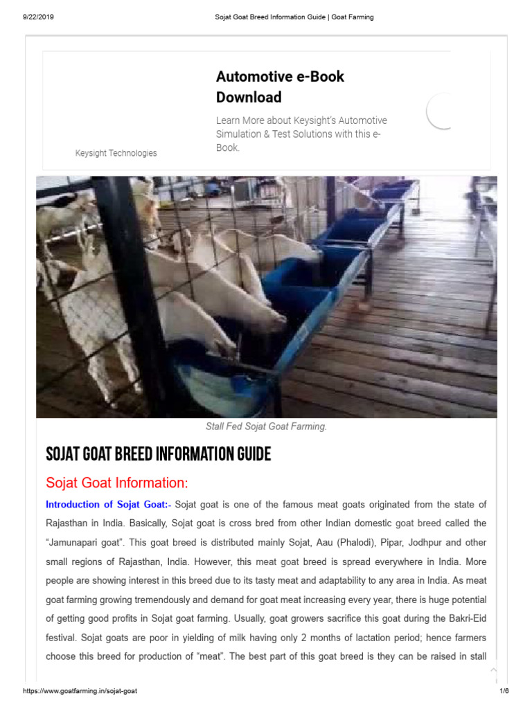 15sojat Goat Breed Information Guide - Goat Farming | PDF | Goat ...