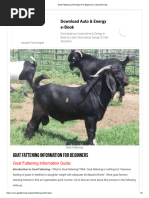Animal Vital Signs Reference Guide | PDF | Goat | Cattle