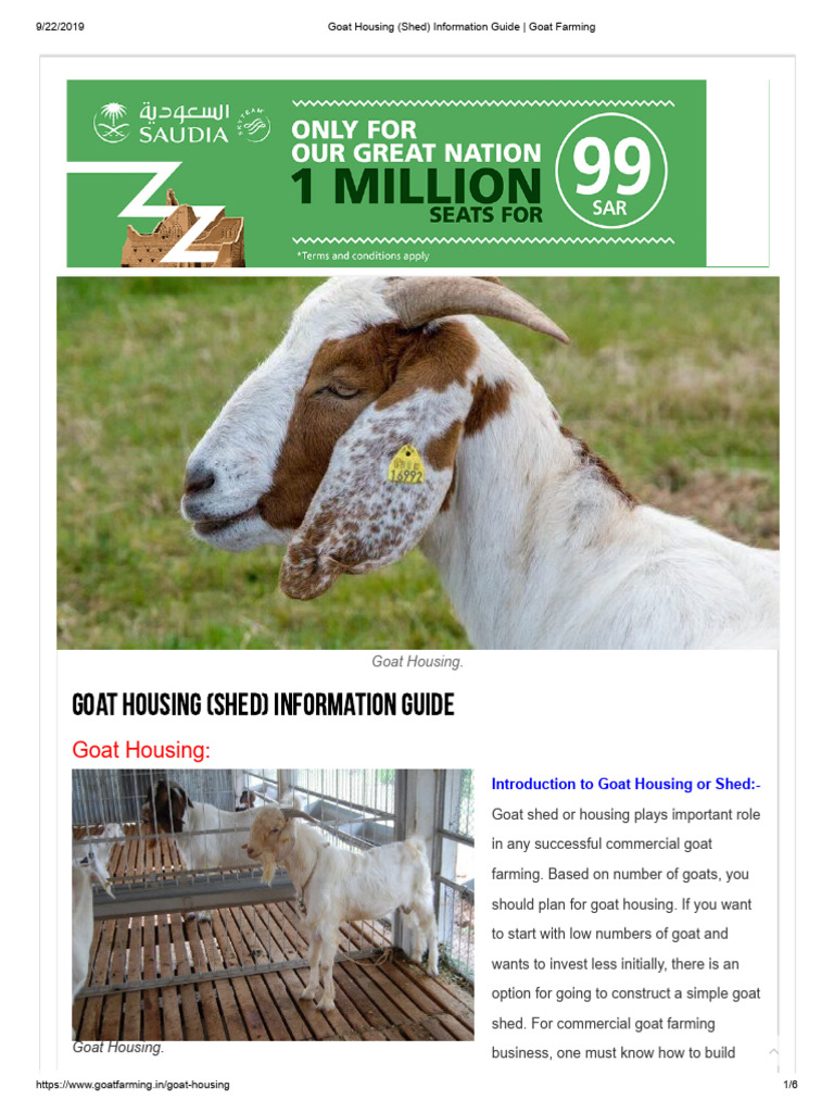 1goat Housing (Shed) Information Guide - Goat Farming | PDF | Goat | Shed