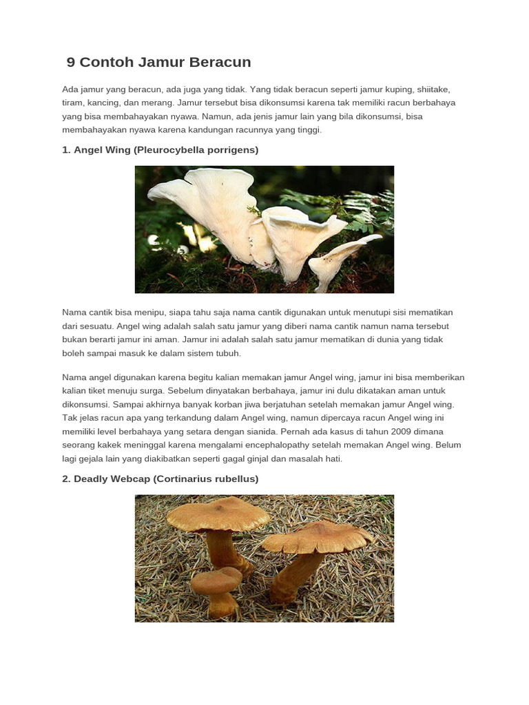 9 Contoh Jamur Beracun | PDF