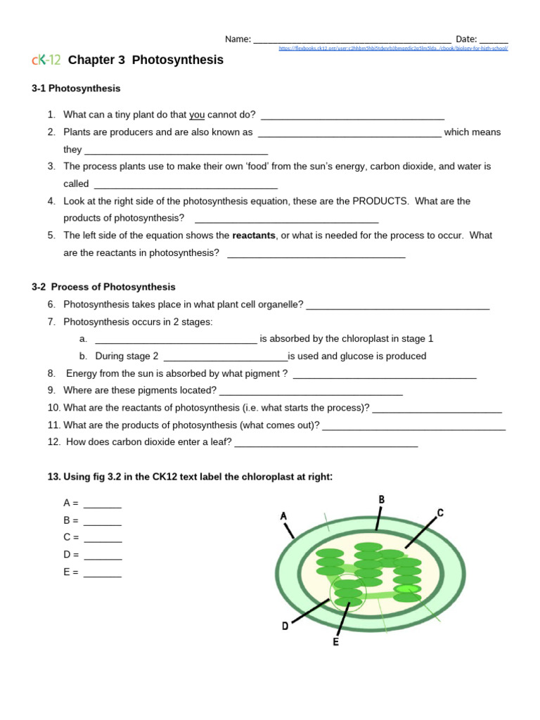 CH 3 Reading Guide (CK12) - Photosynthesis | PDF | Wellness | Science ...