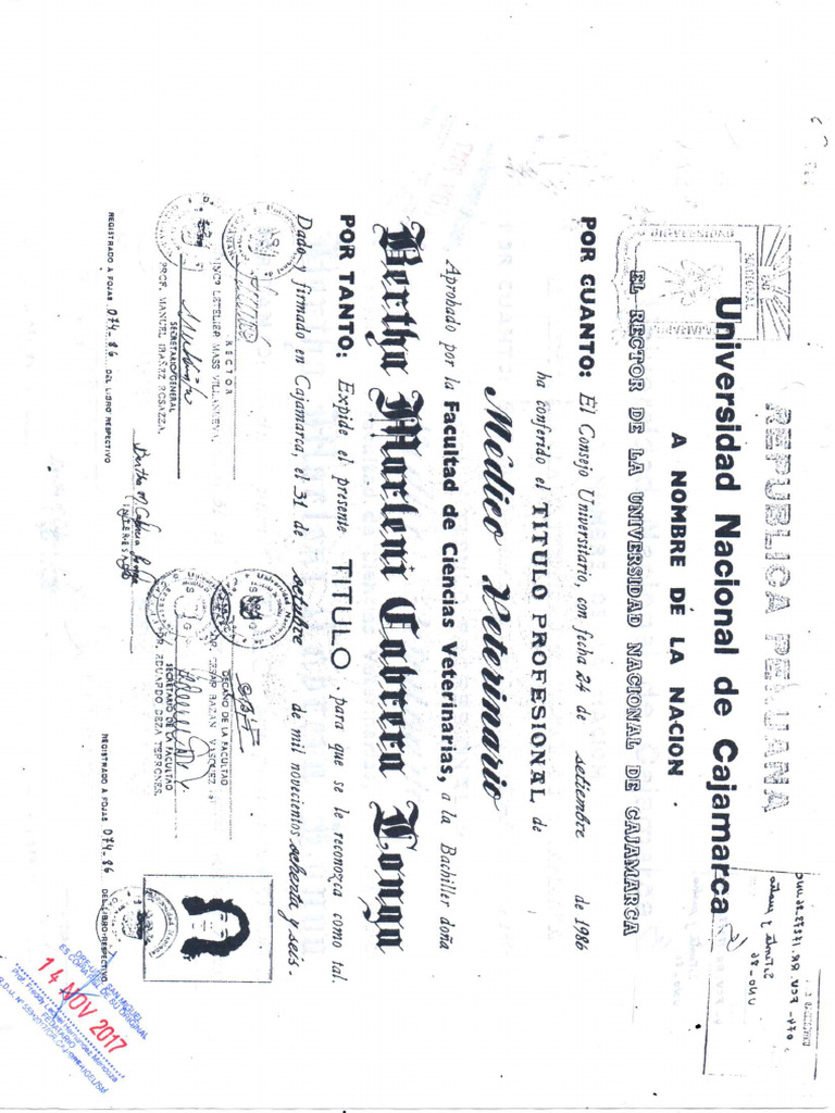 CV Prof Bertha Marleni Cabrera Longa | PDF