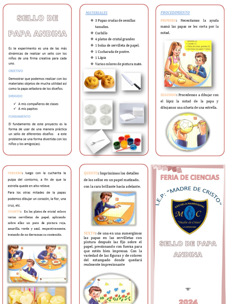 Triptico Feria de Ciencias | PDF