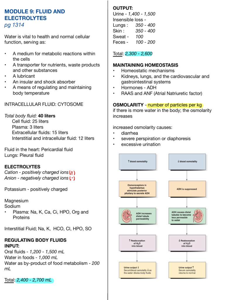 Rle Fundamentals 4 | PDF | Electrolyte | Homeostasis