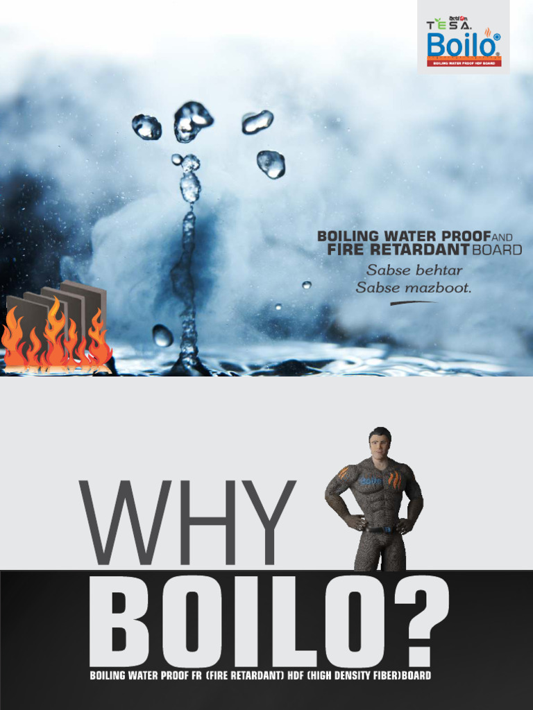 Boilo Brochure | PDF