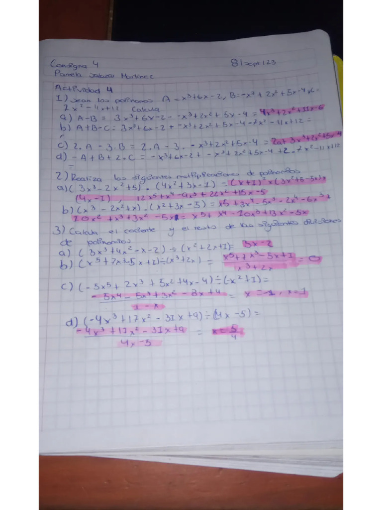 Consigna 4 Pamela Salazar Martínez | PDF