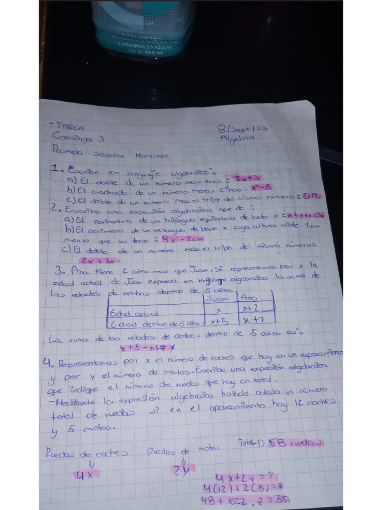 Consigna 3 Pamela Salazar Martínez | PDF