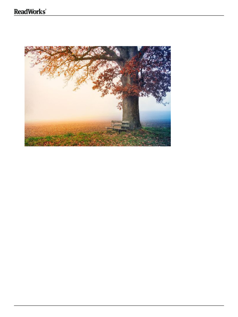 If You Were Coming in The Fall: Courtesy of Jplenio Via Pixabay | PDF ...