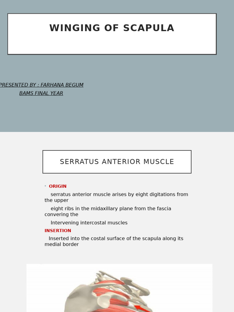 Winging of Scapula Presented by Farhana | PDF