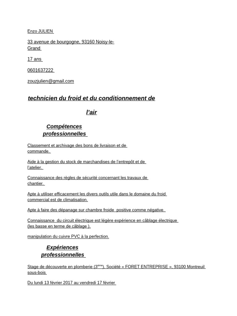 Enzo Julien CV | PDF