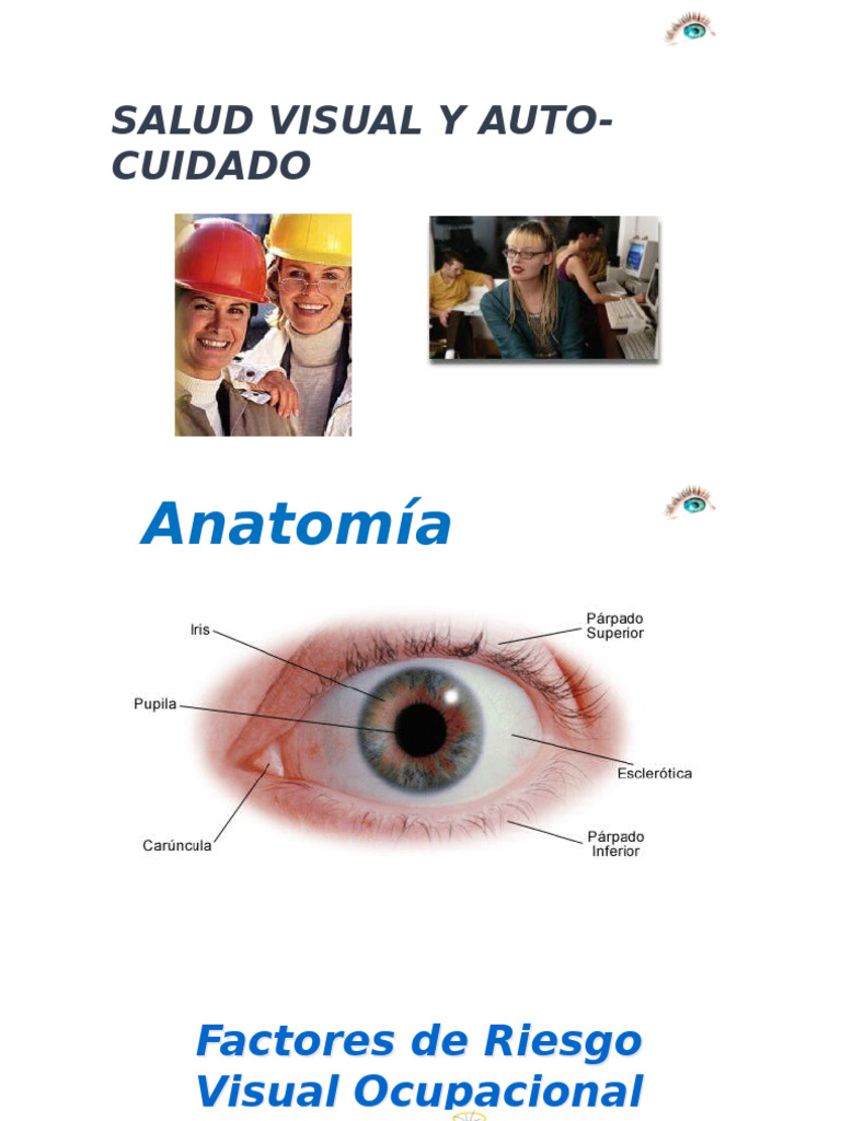 Conservaion Visual, Auditiva y Respiratoria | PDF Conservaion Visual, Auditiva y Respiratoria | PDF