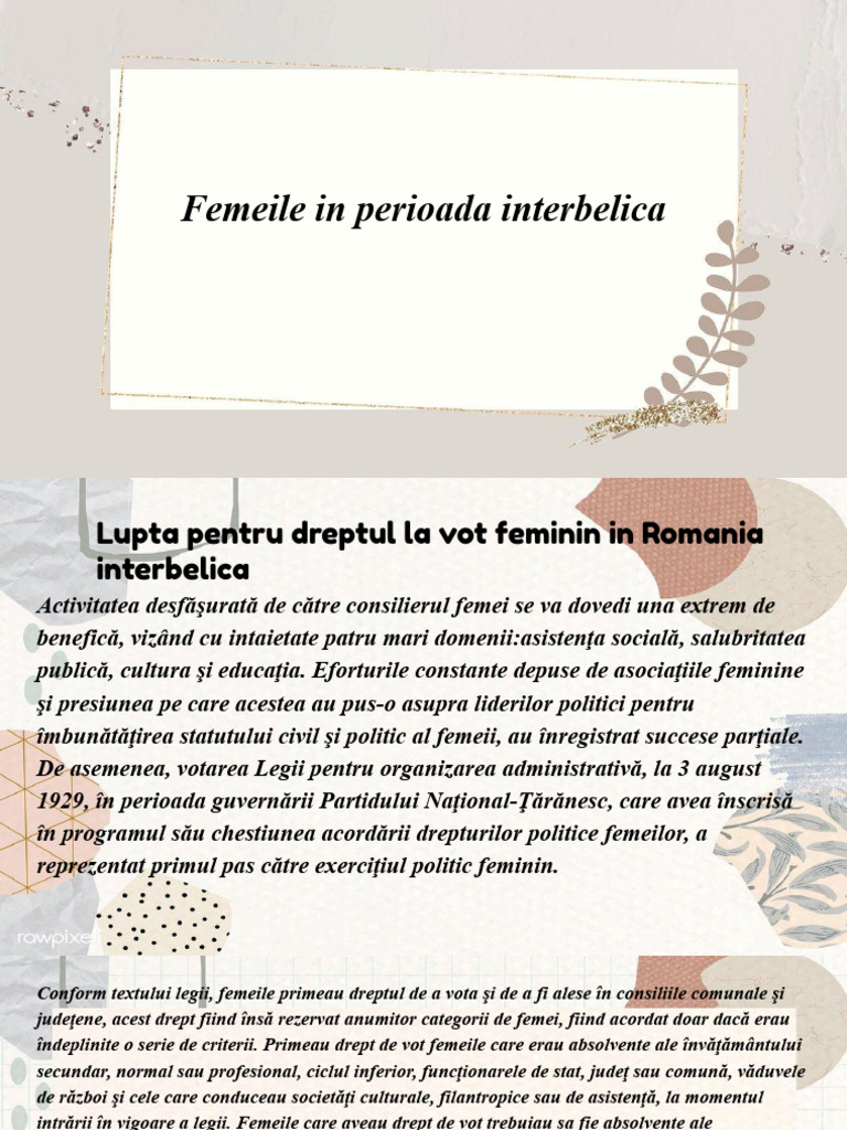 Istorie Proiect | PDF