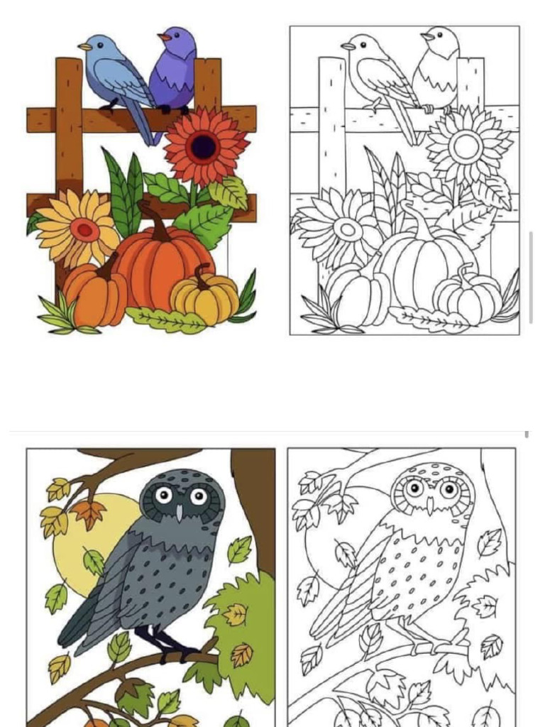 Colorear Segun Modelo | PDF