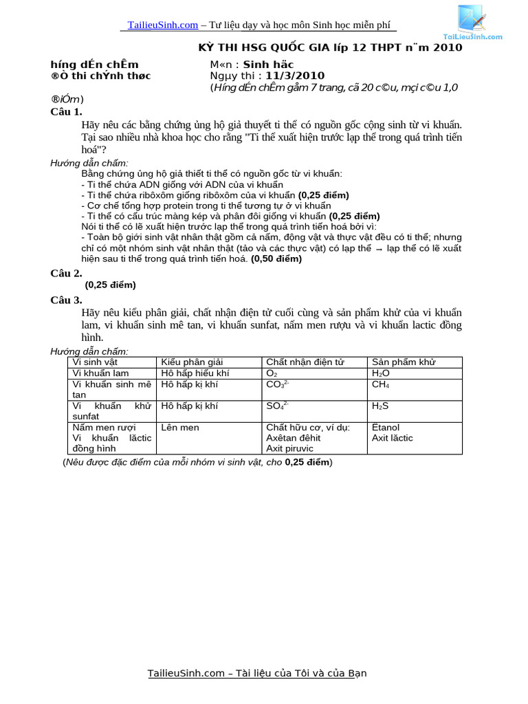 Da HSG QG 2010 | PDF
