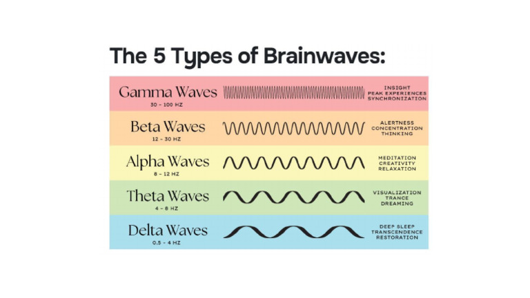 Brainwaves | PDF