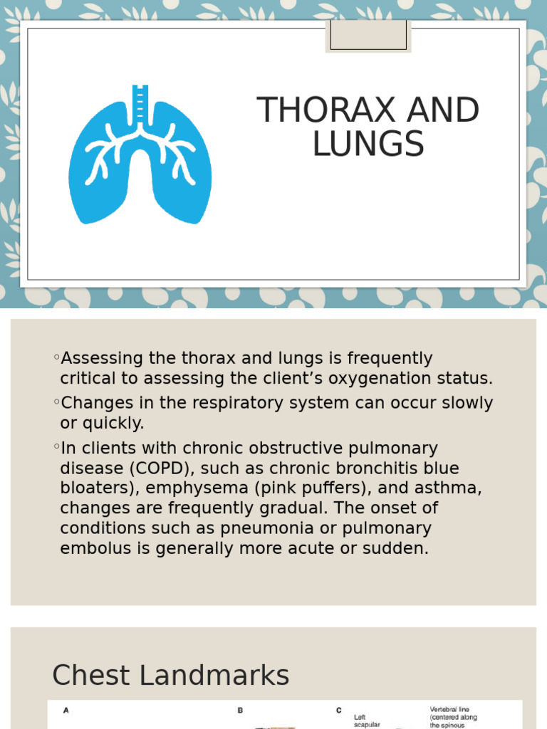 Chest and Lungs | PDF