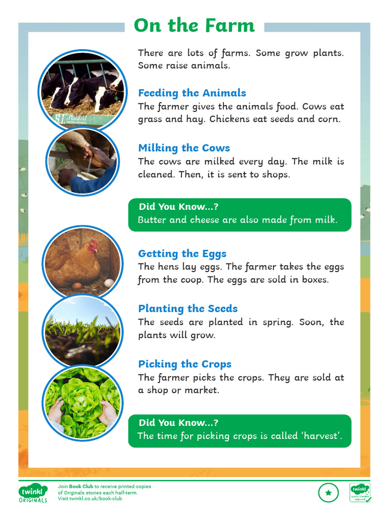 On The Farm Comprehension - 240224 - 173614 | PDF | Farms | Dairy